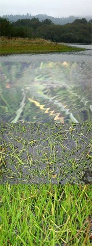 Matthew Chase-Daniel — Craig Krull Gallery