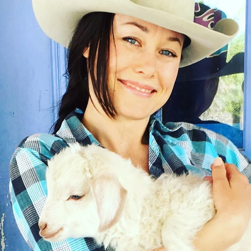 Cooper Ranch | Grass-Fed & Grass-Finished Beef | Kirkland, AZ