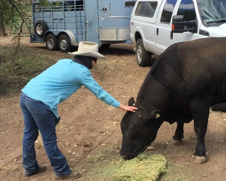 Cooper Ranch | Grass-Fed & Grass-Finished Beef | Kirkland, AZ