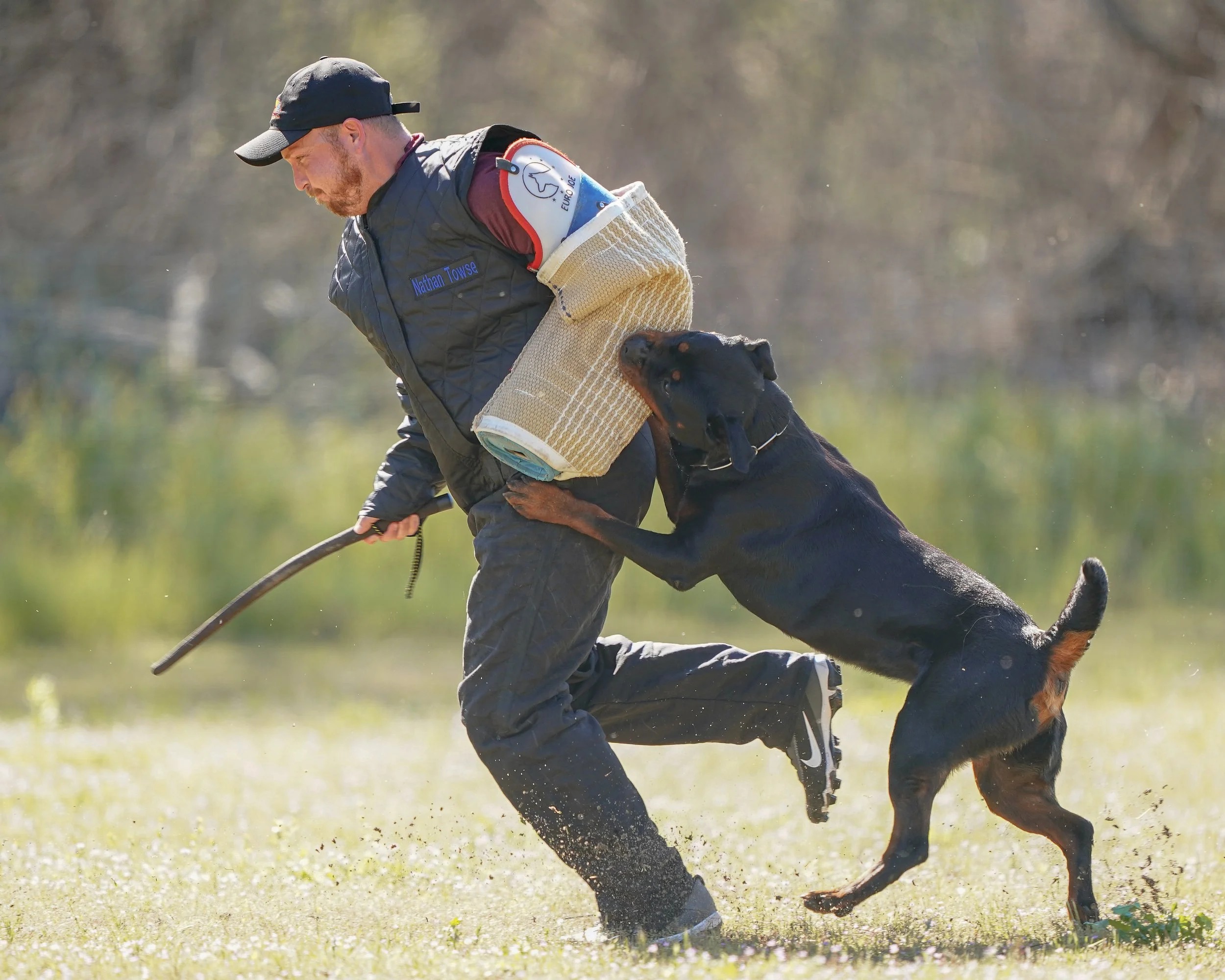 Membership — Sandstorm Schutzhund Club