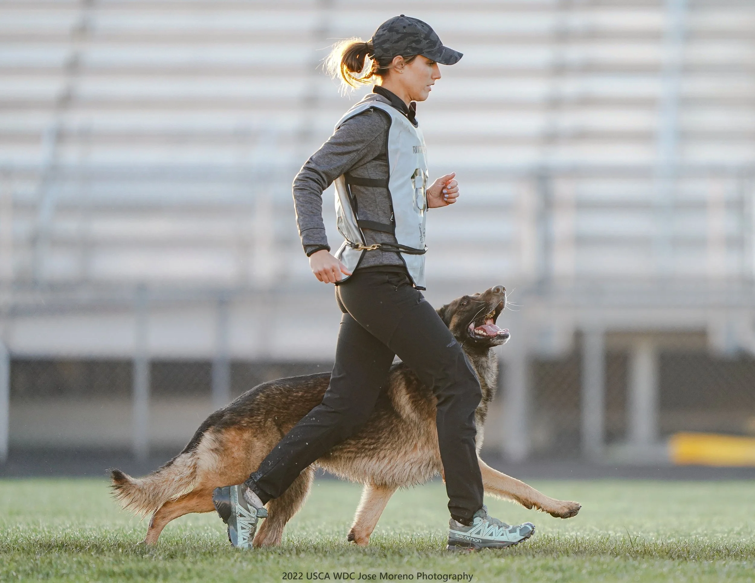 General 5 — Sandstorm Schutzhund Club