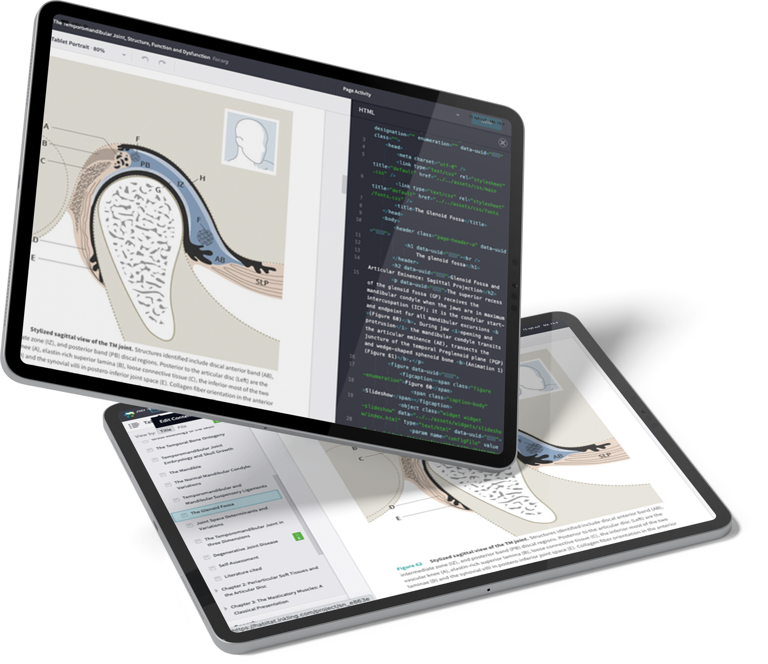 Visualmedics Medical Illustration and animation services