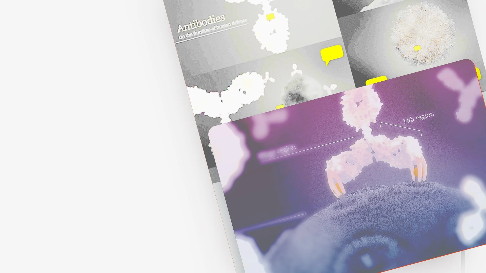 Visualmedics Studio - Medical Animation Services - Visualmedics Studio