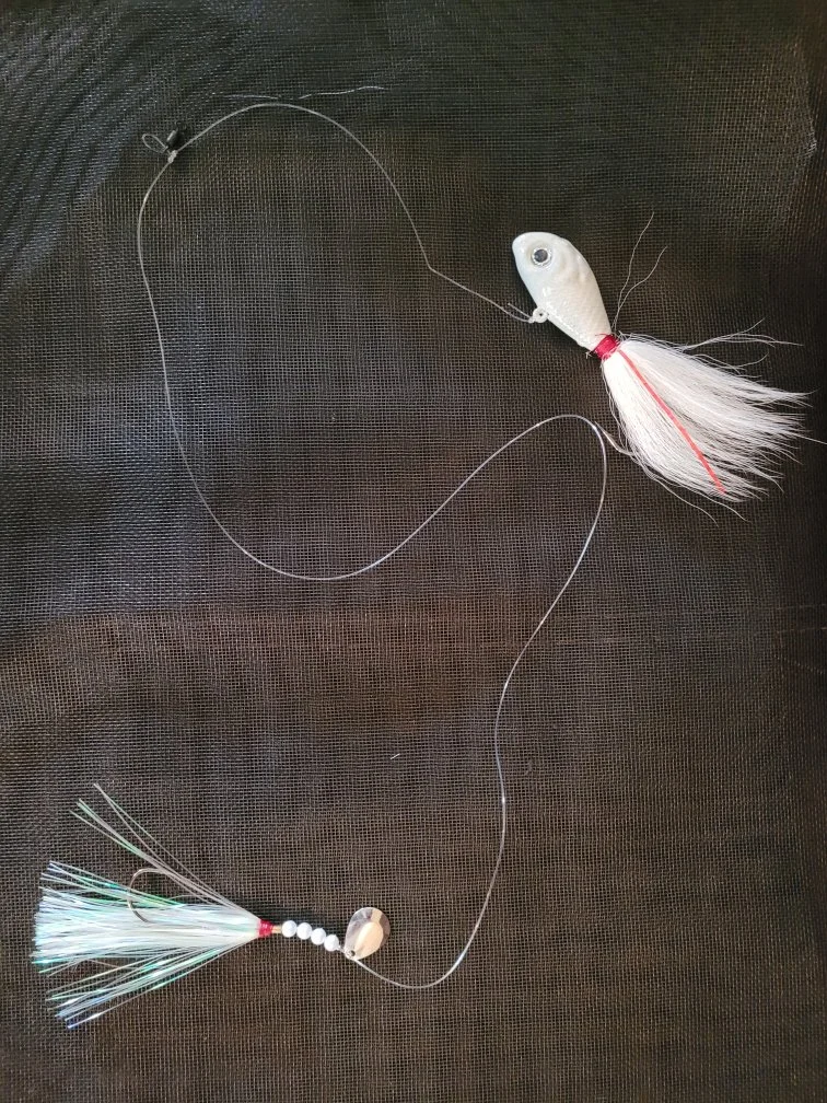 Store 2 — Bad Wind Charters