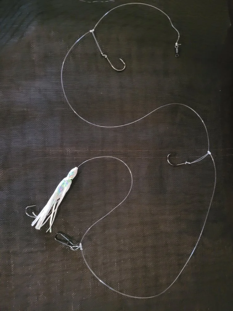 Shop Our Jigs & Rigs — Bad Wind Charters