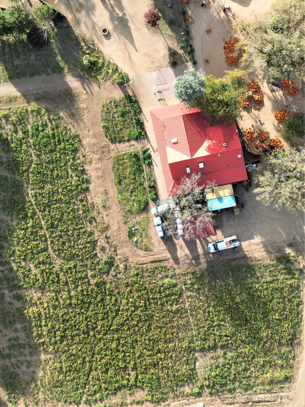Mortimer Farms in Prescott, Arizona
