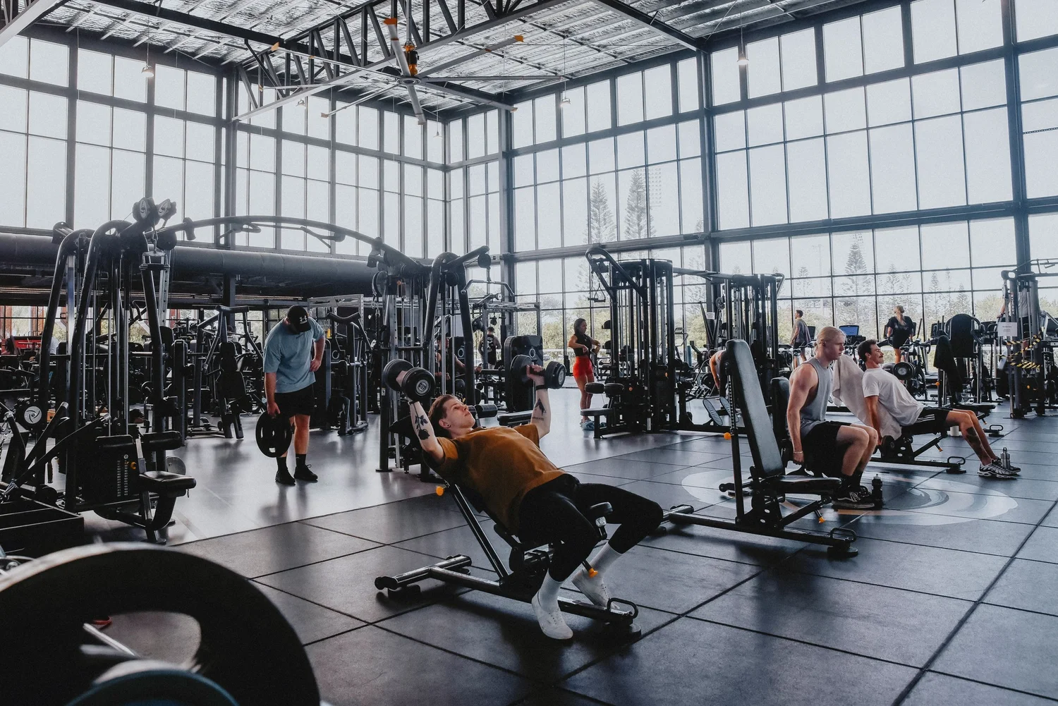 Training Areas | O2 Performance | 24hr Fitness Facility