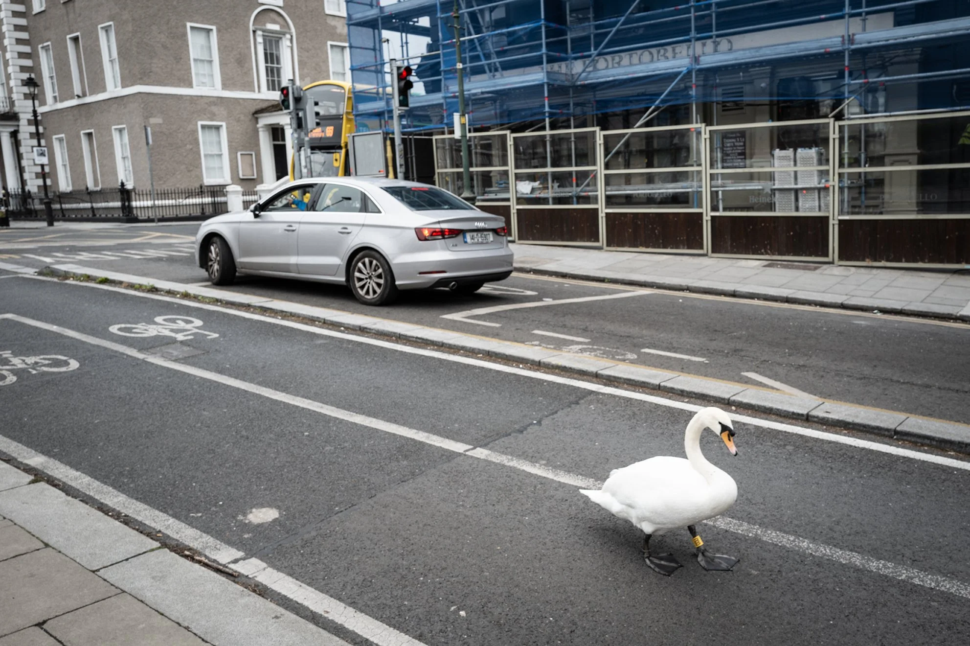 Street Photography in Dublin — StreetSnappers Street Photography Workshops