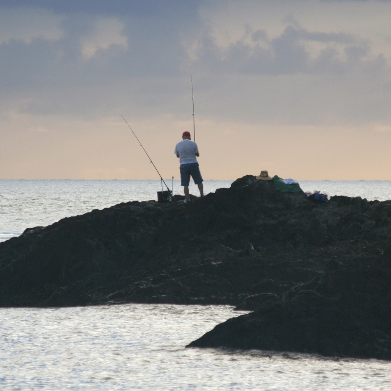 Rock fishing basics — DECKEE