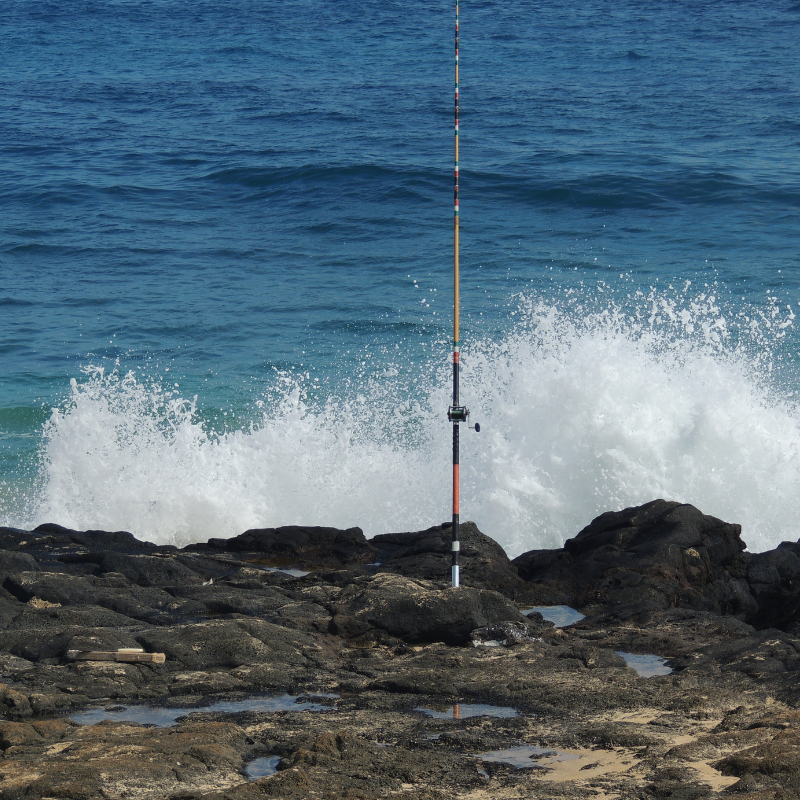 Rock fishing basics — DECKEE