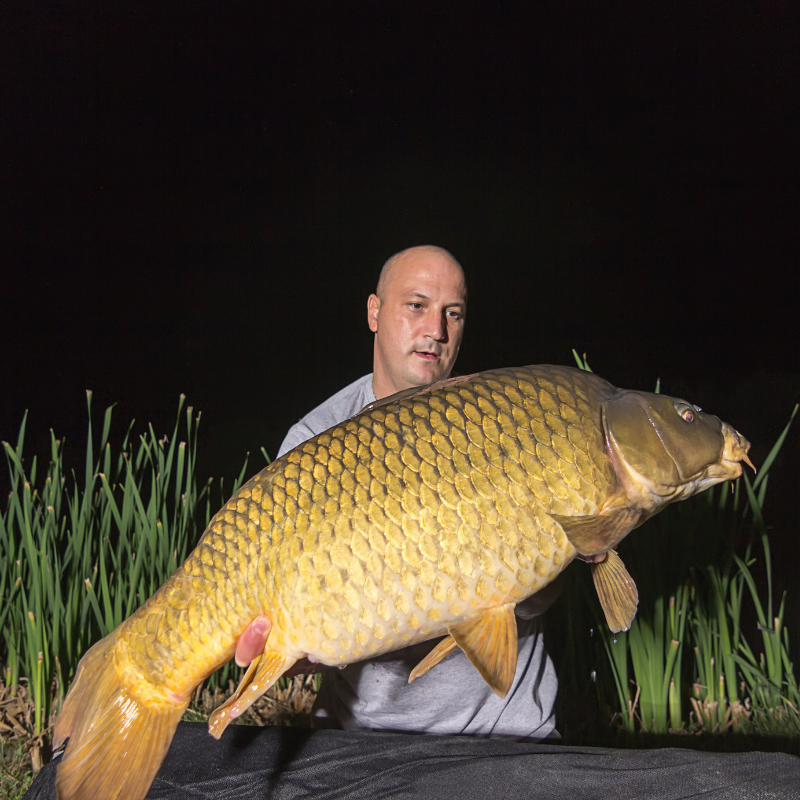 Night fishing tips from two pros — DECKEE