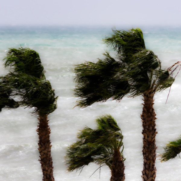 What is a marine wind warning? — DECKEE