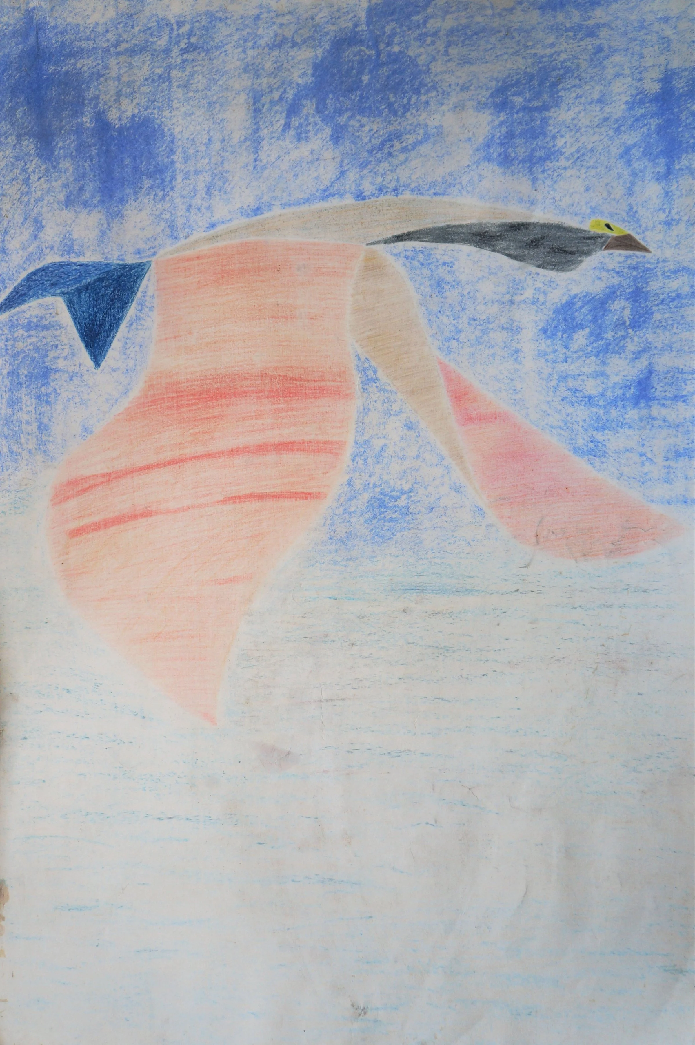 Pittura e grafica — Igor Cascella