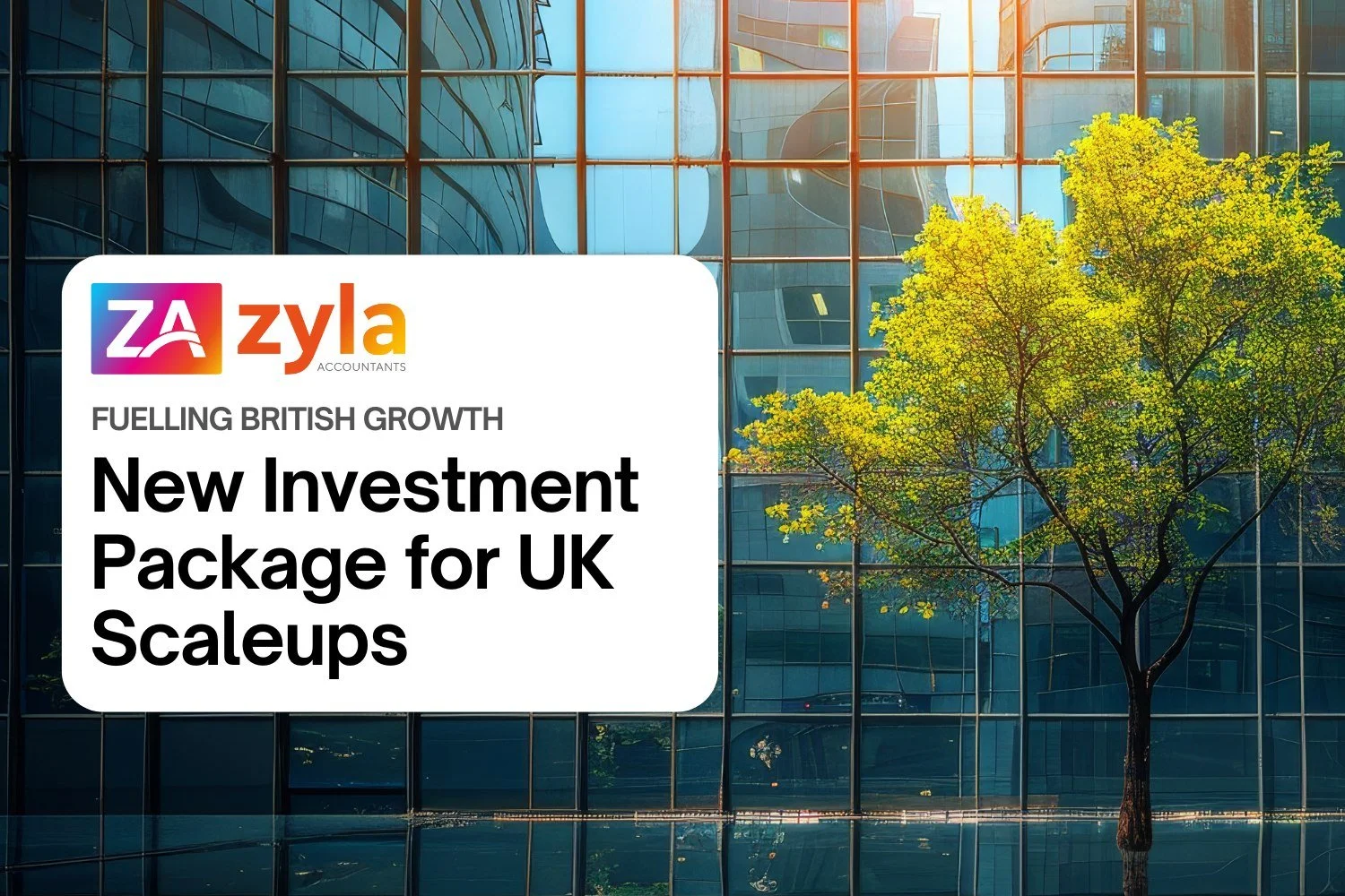 UK Scaleup Growth: New Government Investment & Less Red Tape — Zyla ...