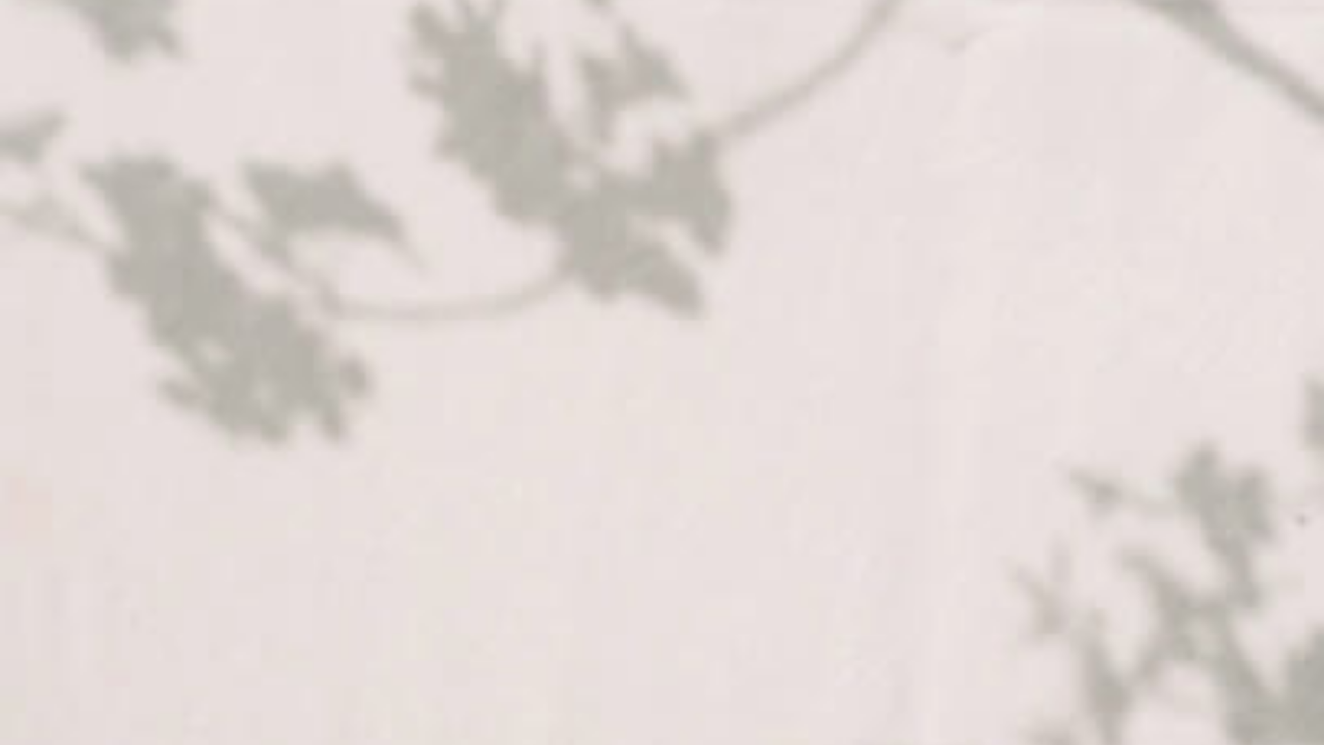 High Flying Design | Online Magazine & Community for Female High-Flyers