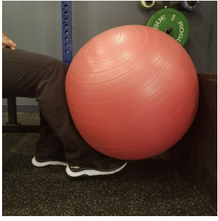 Leg Extensions – Should We Be Scared of Them? — REclaim Physiotherapy ...