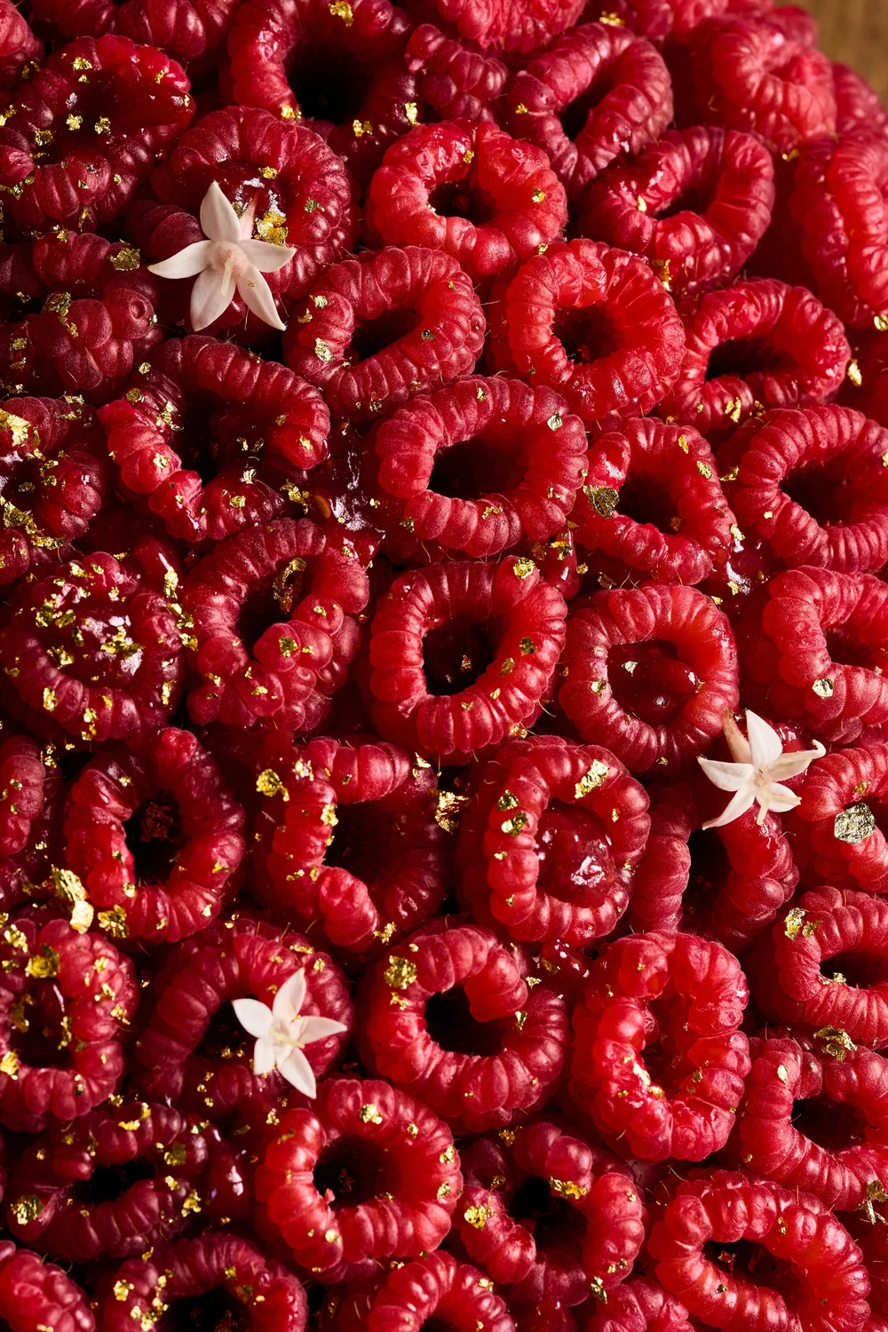 CASA NEOS | Restaurant, Beach Club, and Dock & Dine in Miami