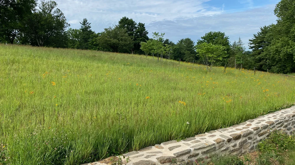 Gallery 3 — Phyto Studio