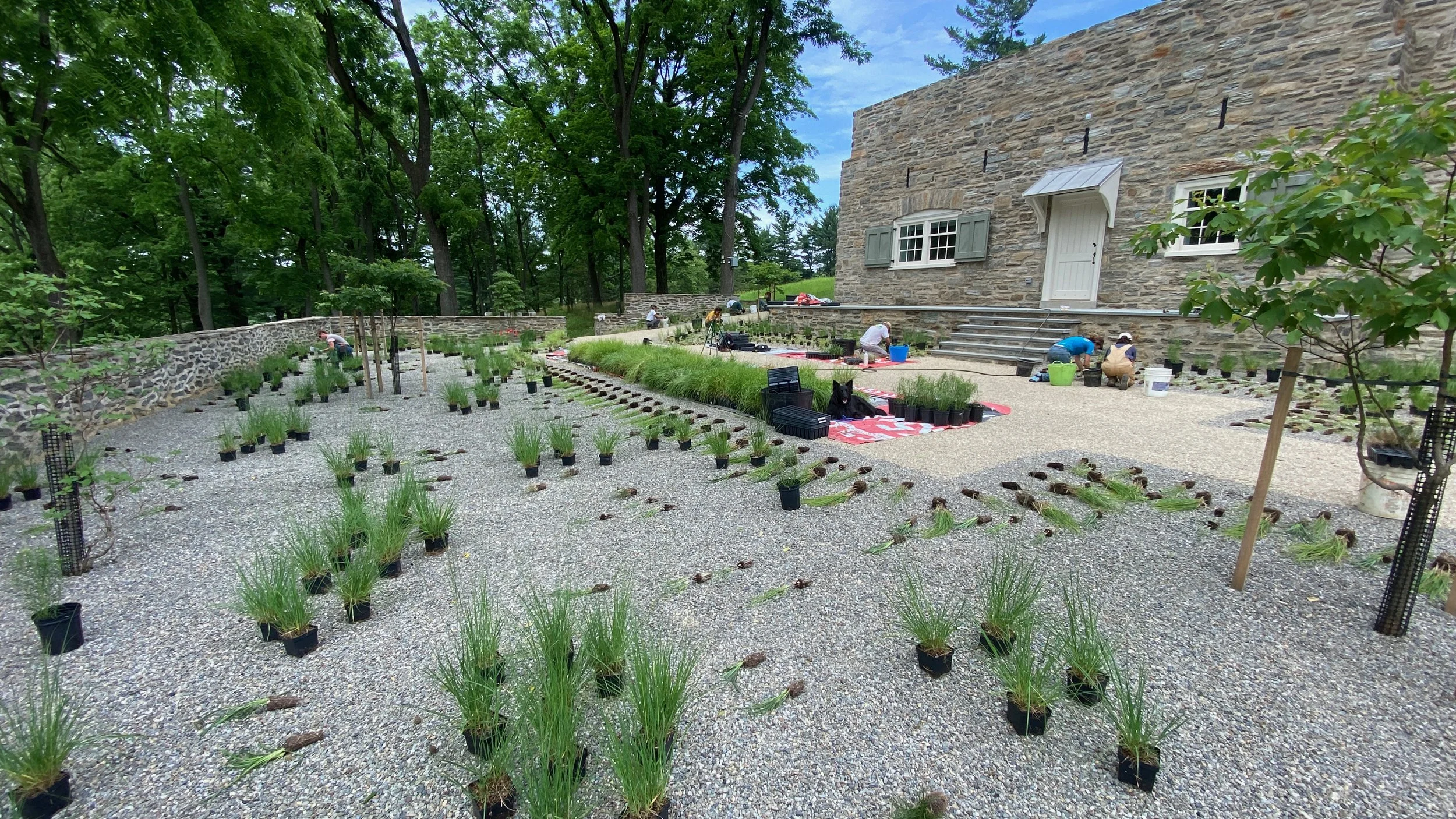 General 5 — Phyto Studio