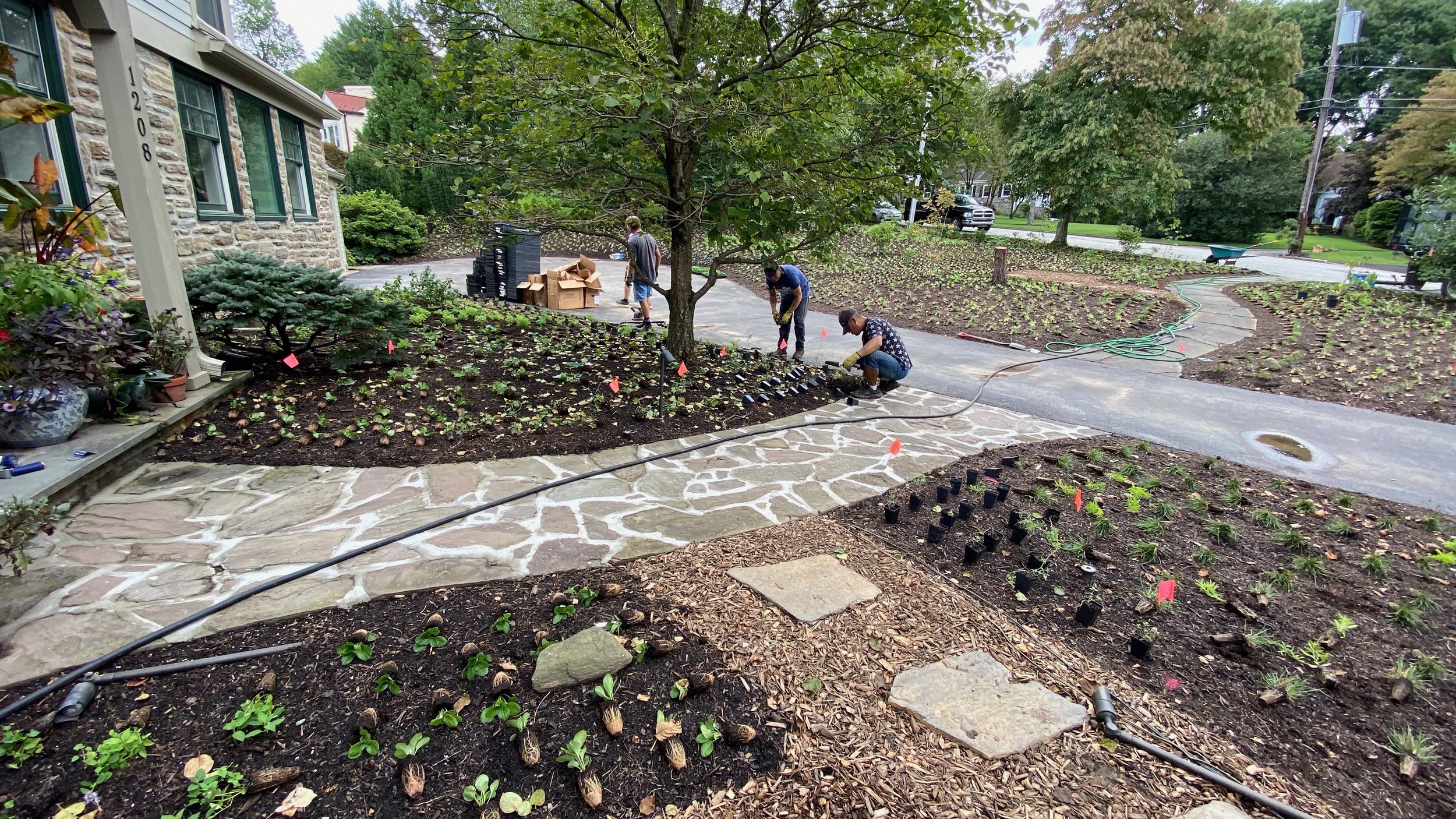 Hughes Residence — Phyto Studio