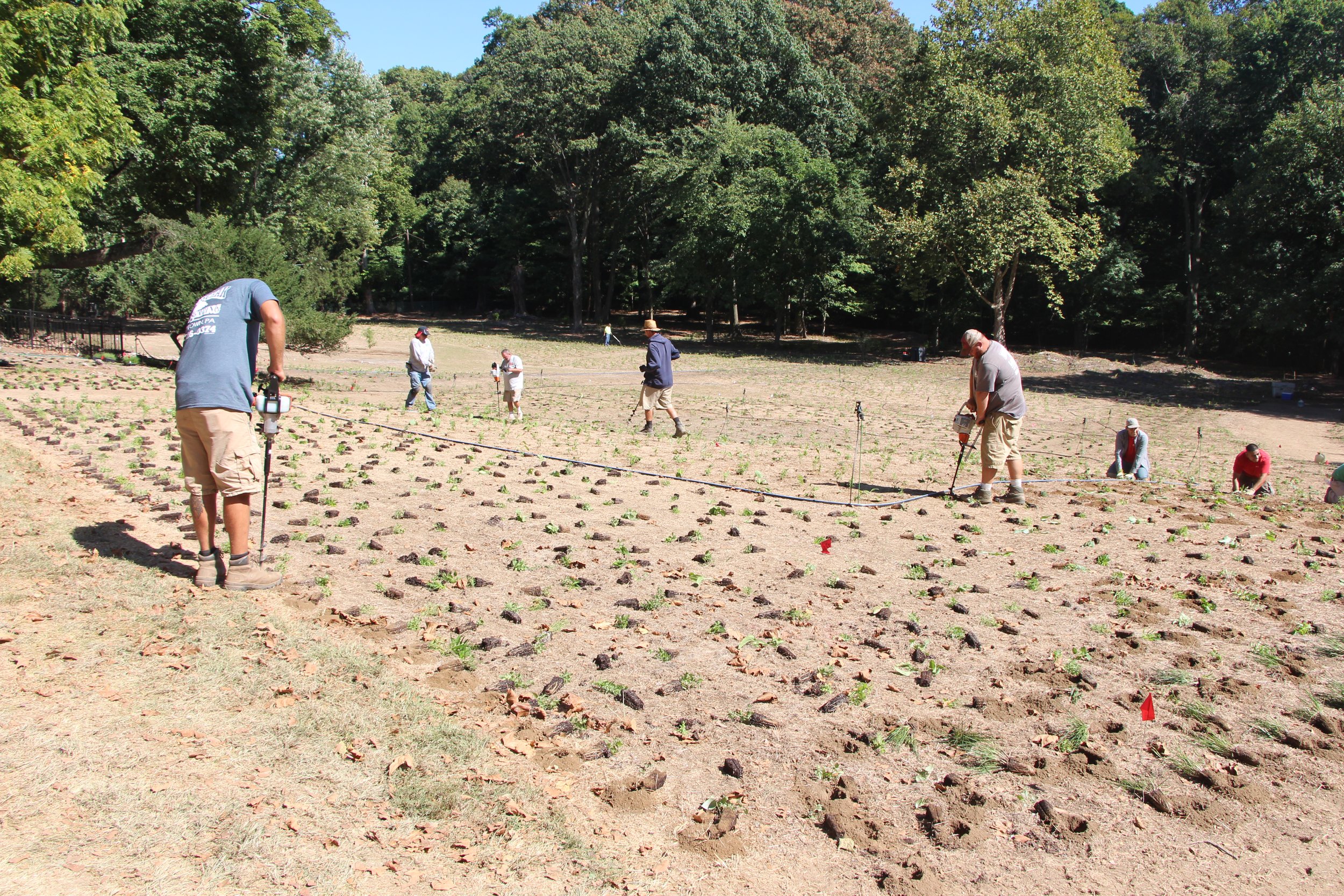 Gallery 3 — Phyto Studio