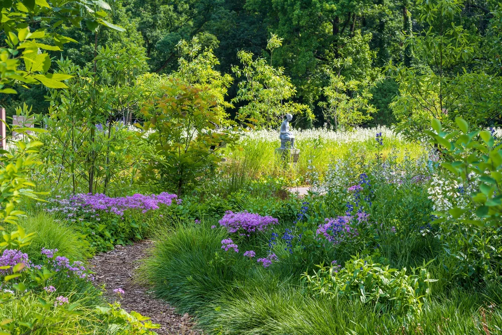 US National Arboretum — Phyto Studio