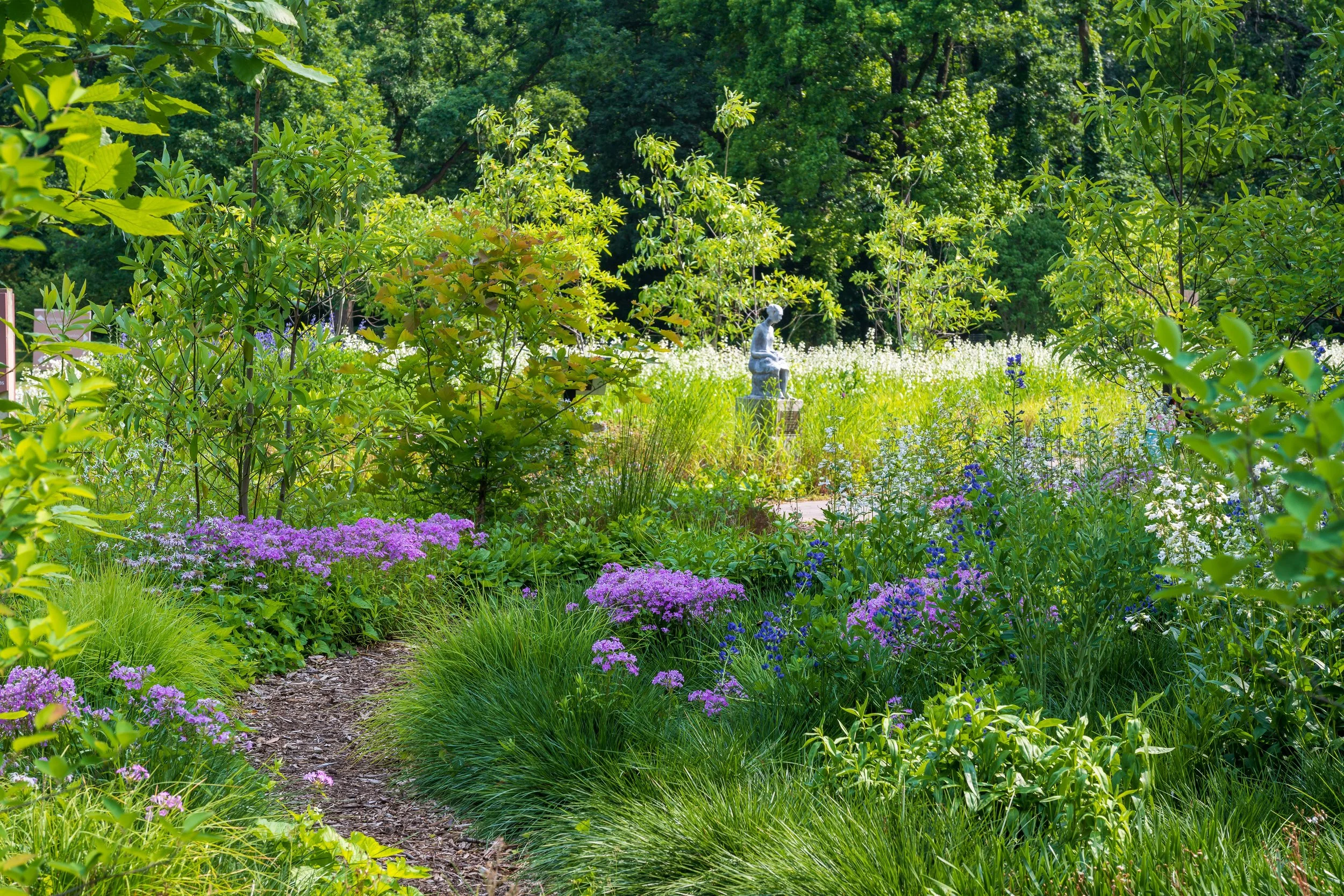 US National Arboretum — Phyto Studio