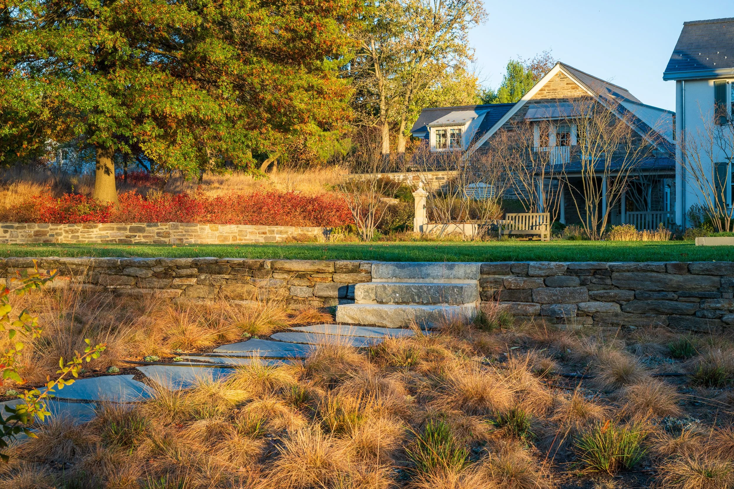 Meadow Design — Phyto Studio