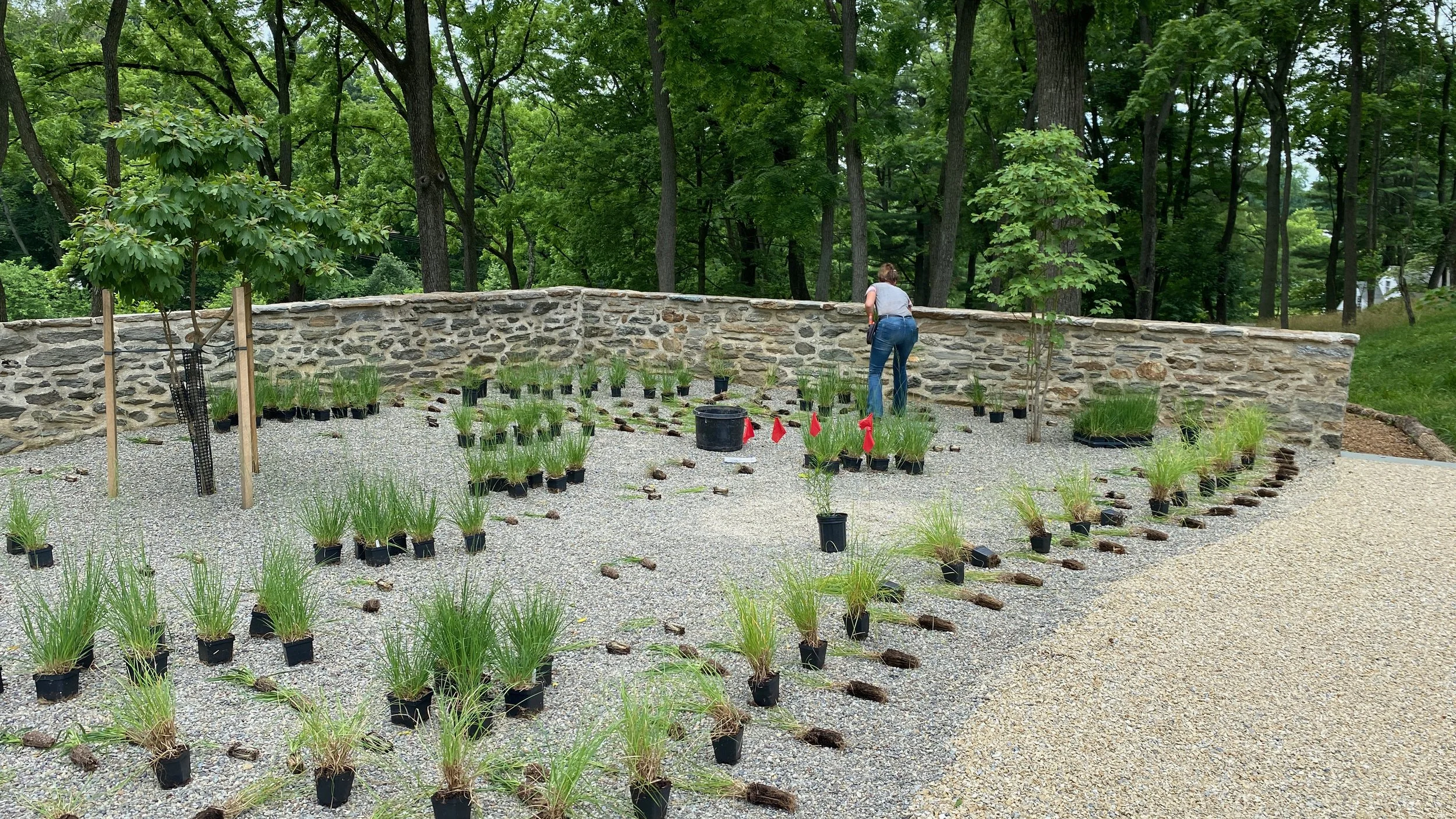 General 5 — Phyto Studio