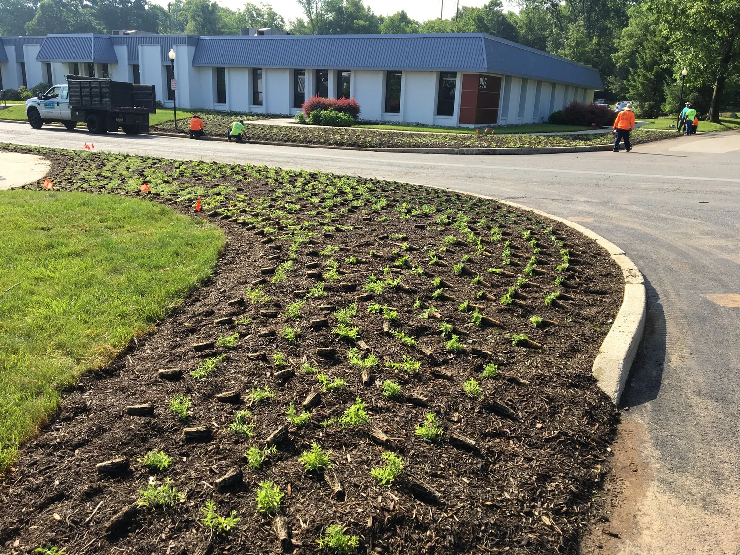 Evolve Corporate Center — Phyto Studio