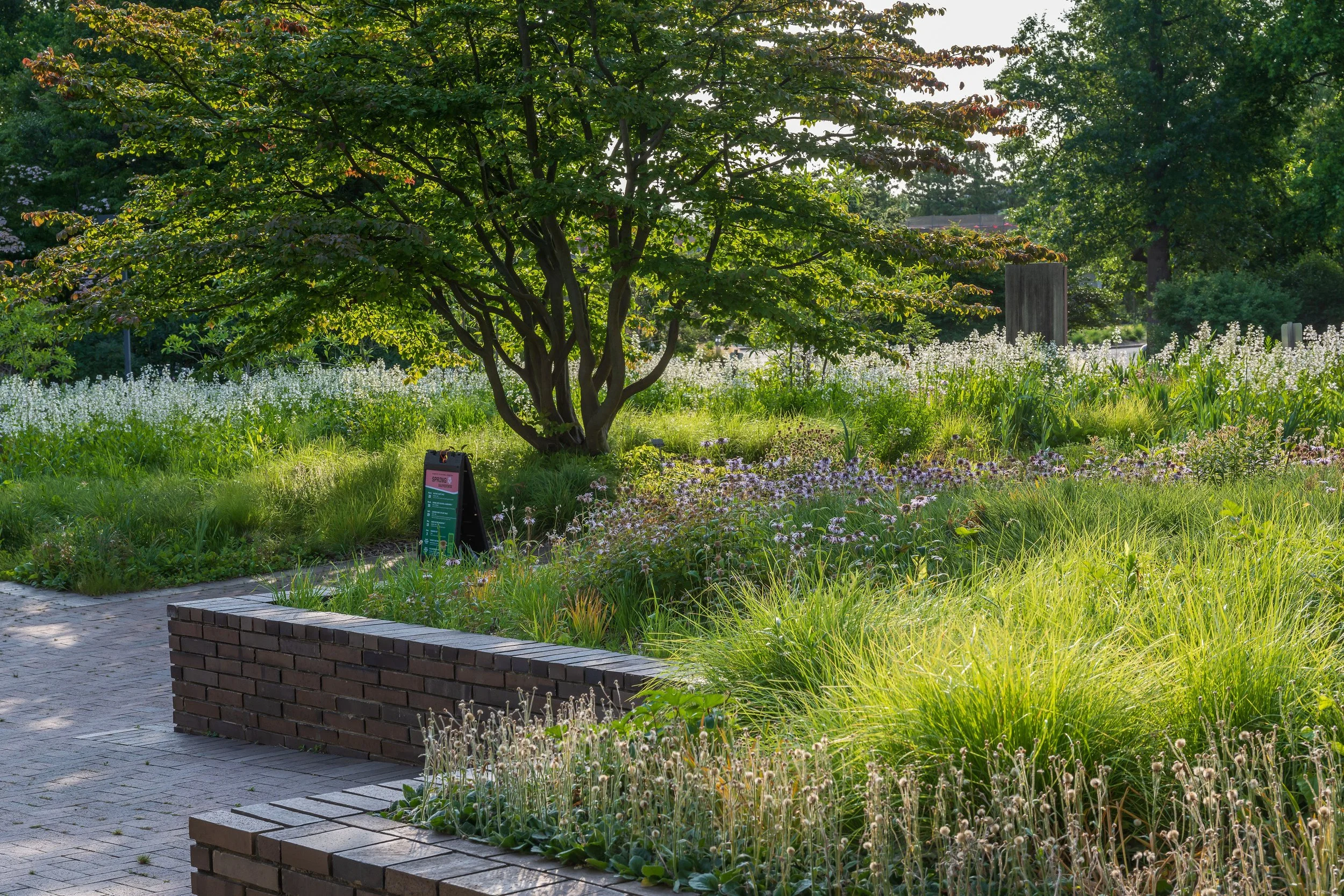 US National Arboretum — Phyto Studio