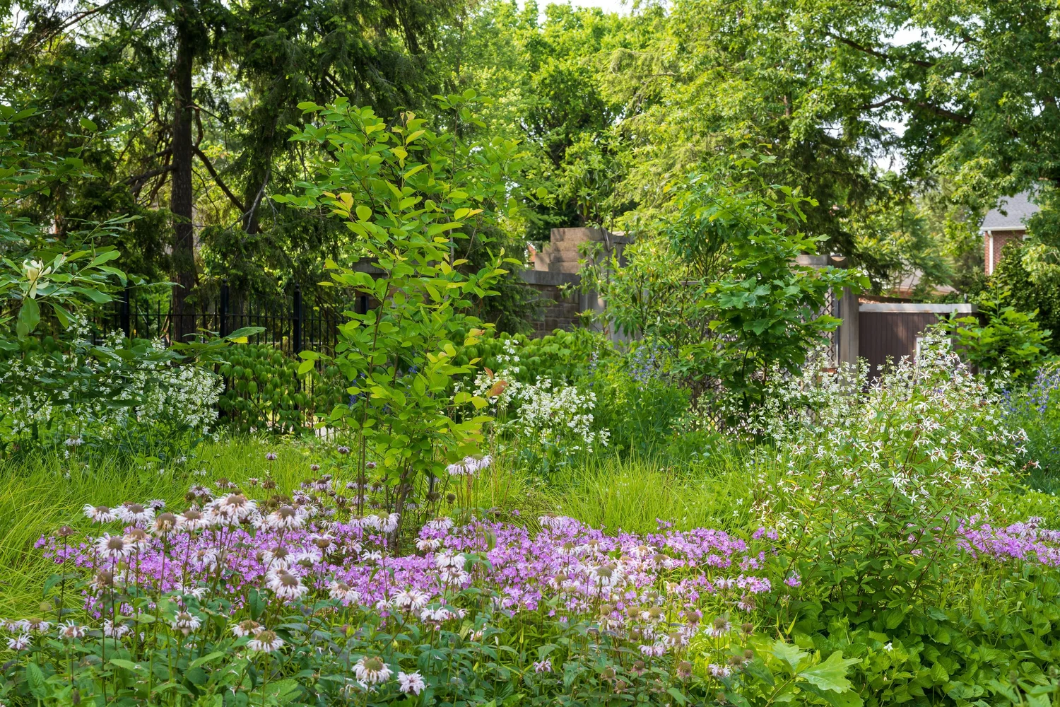 Meadow Design — Phyto Studio