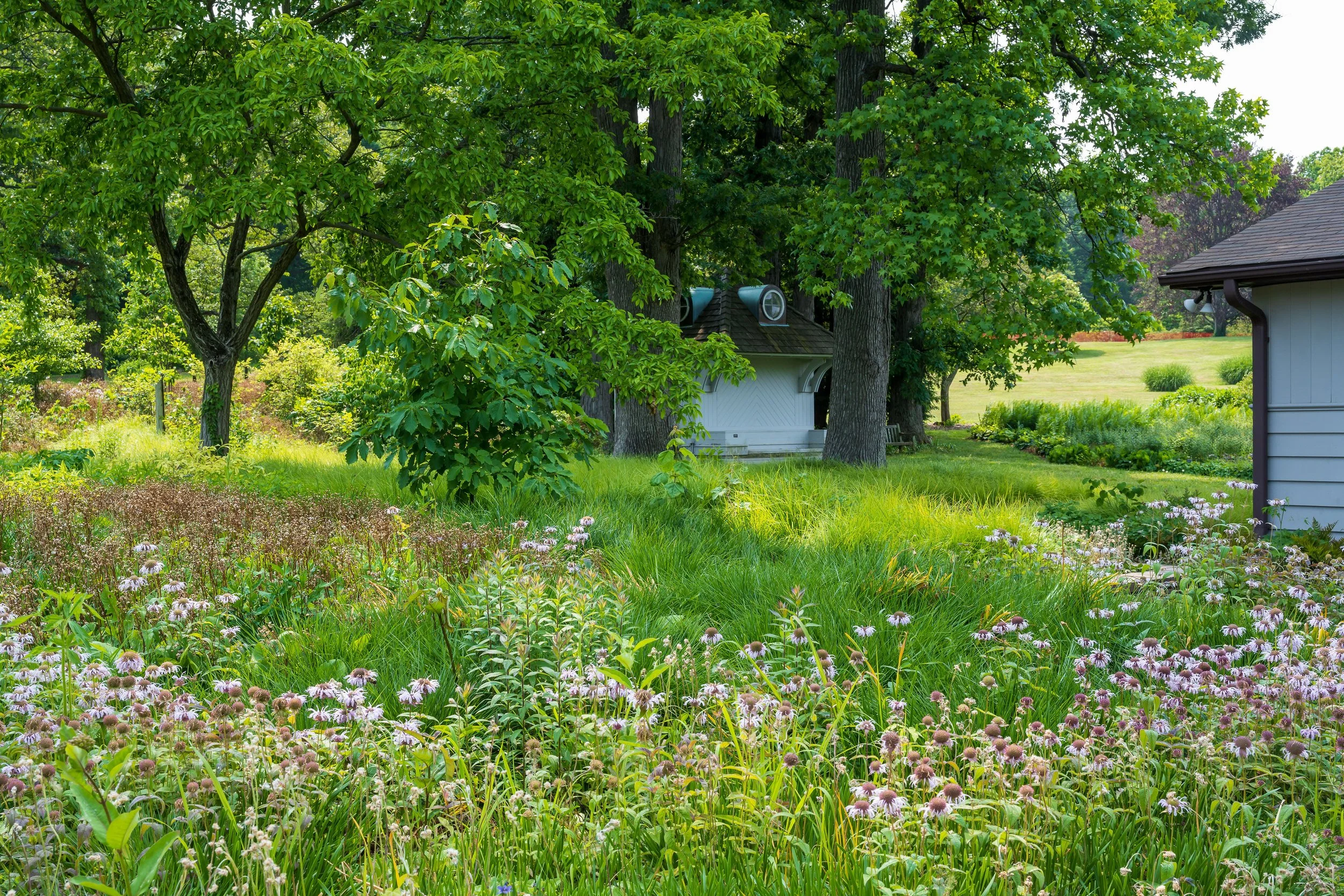 Meadow Design — Phyto Studio