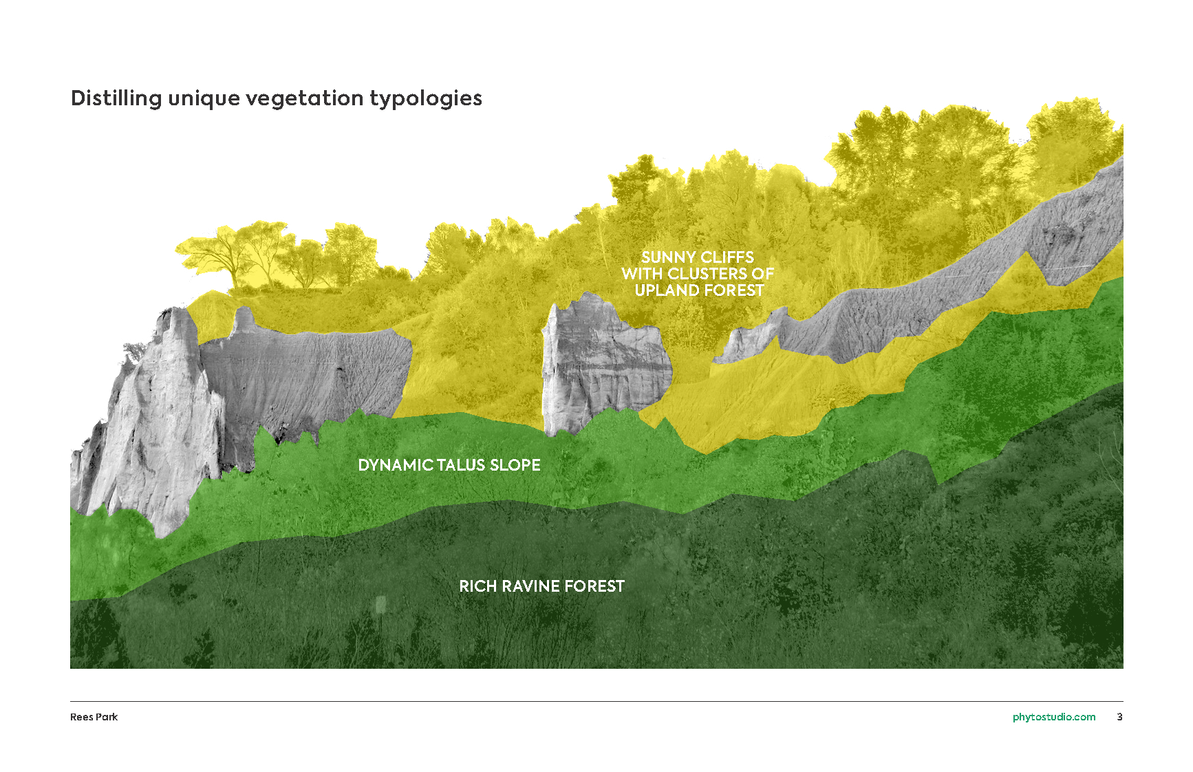 Rees Park — Phyto Studio
