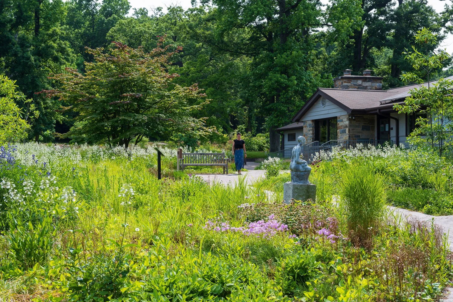 US National Arboretum — Phyto Studio