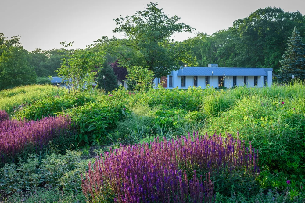 Evolve Corporate Center — Phyto Studio