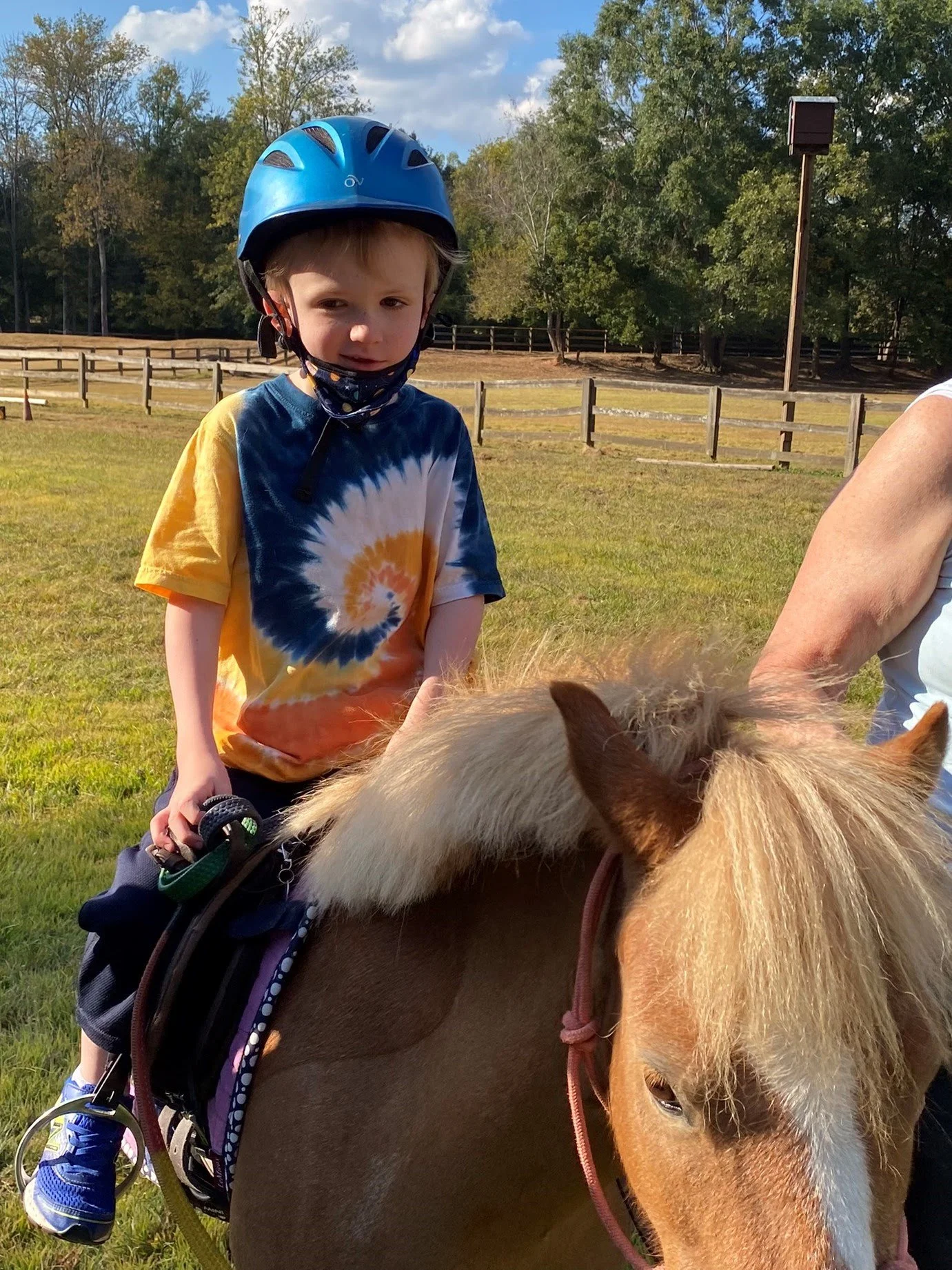 About Us — StrideAhead