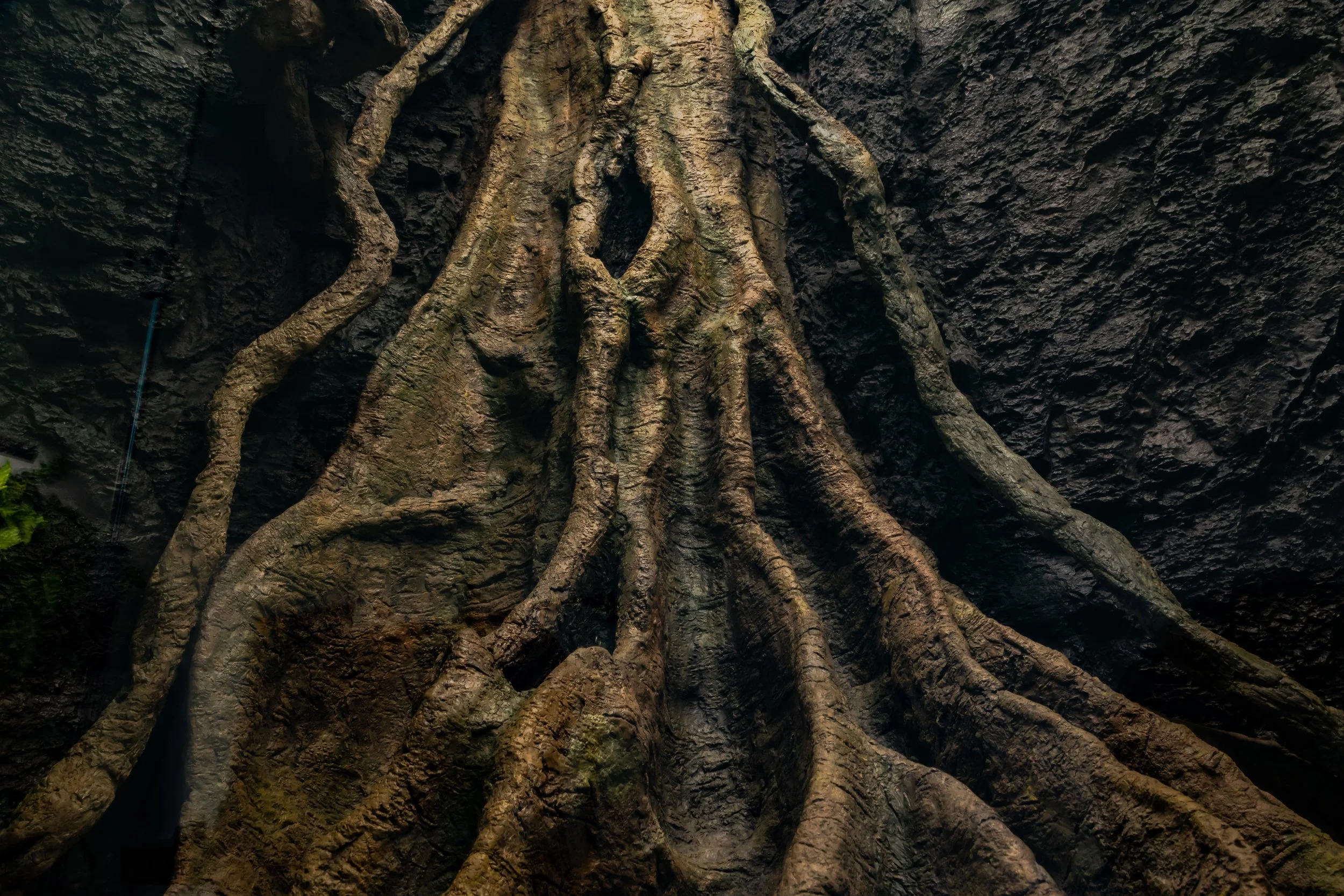 Smithsonian — VARIANCE DESIGN