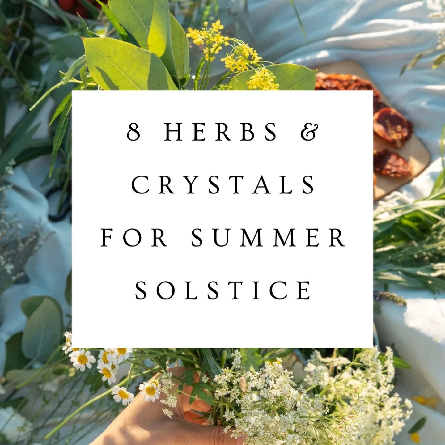 Summer Solstice — Plant Magic Market