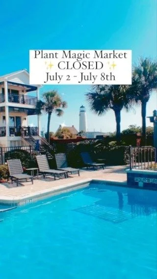 Candle Magic — Plant Magic Market