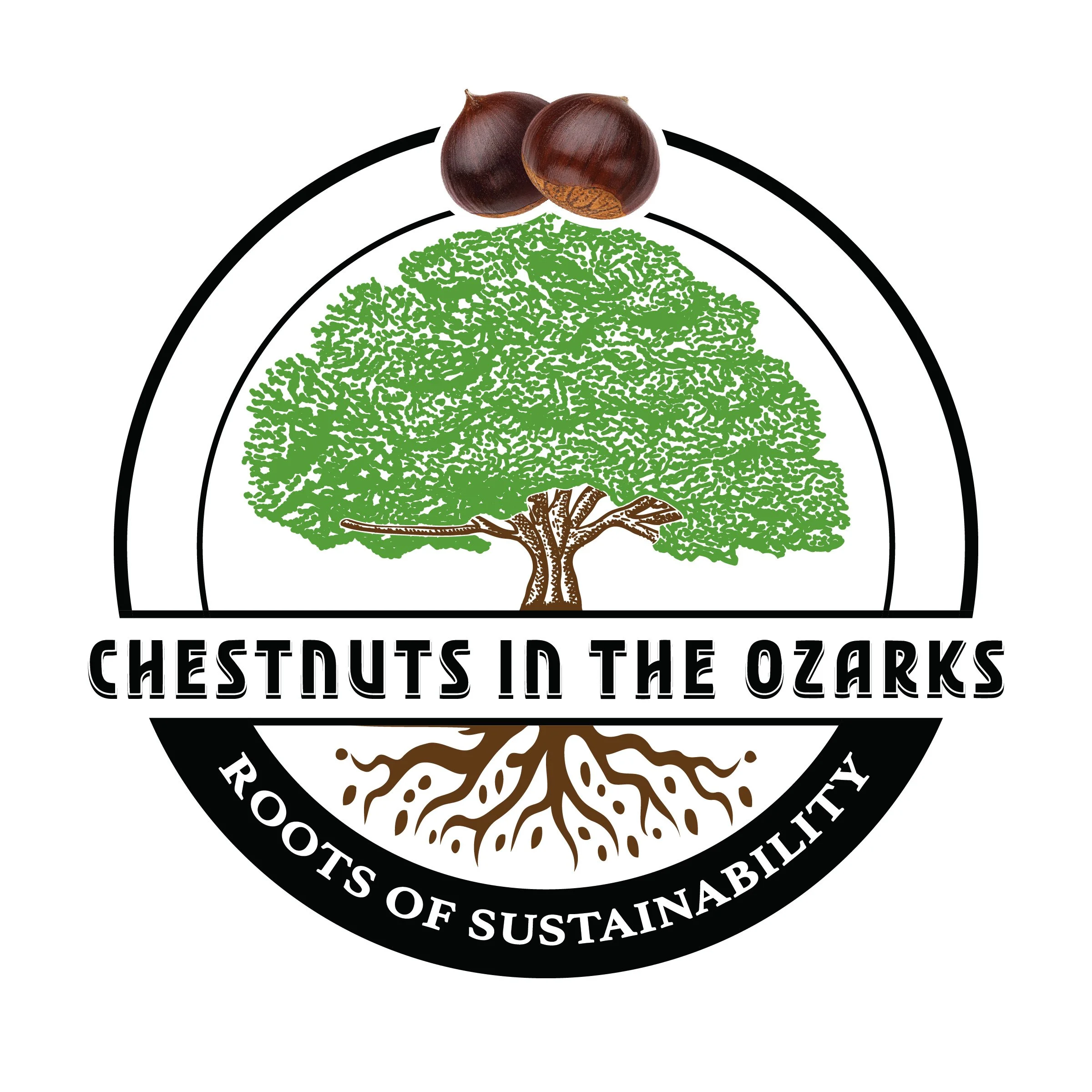 Chestnuts In The Ozarks