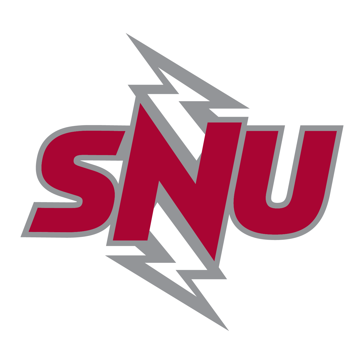 Logo Downloads — creative.snu.edu