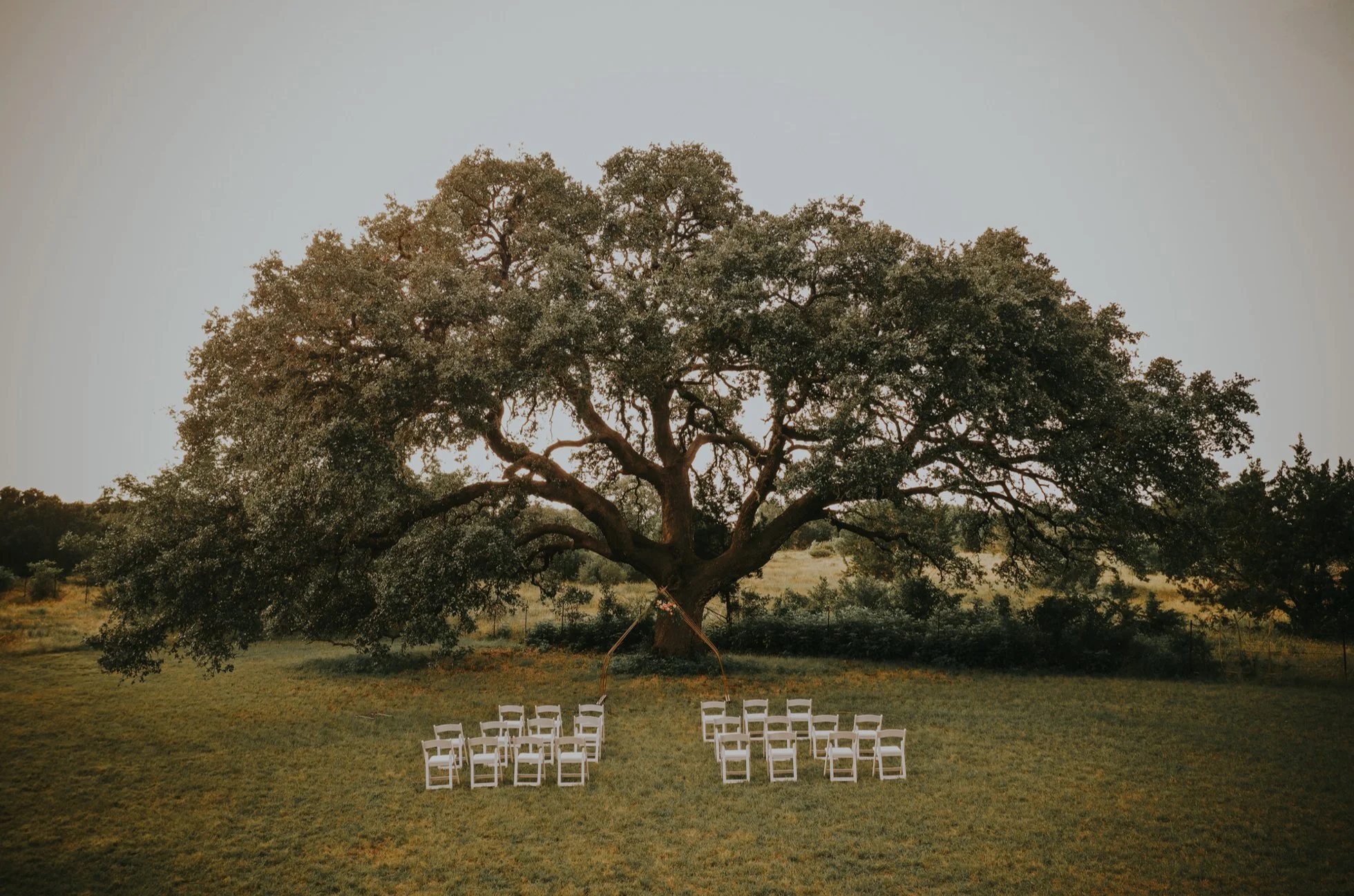 Micro Wedding Package