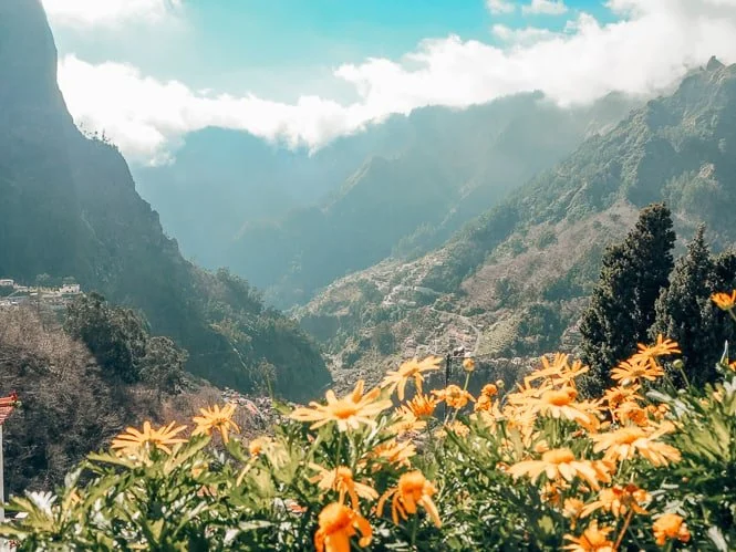 Program Access — Take Your Life Back &More