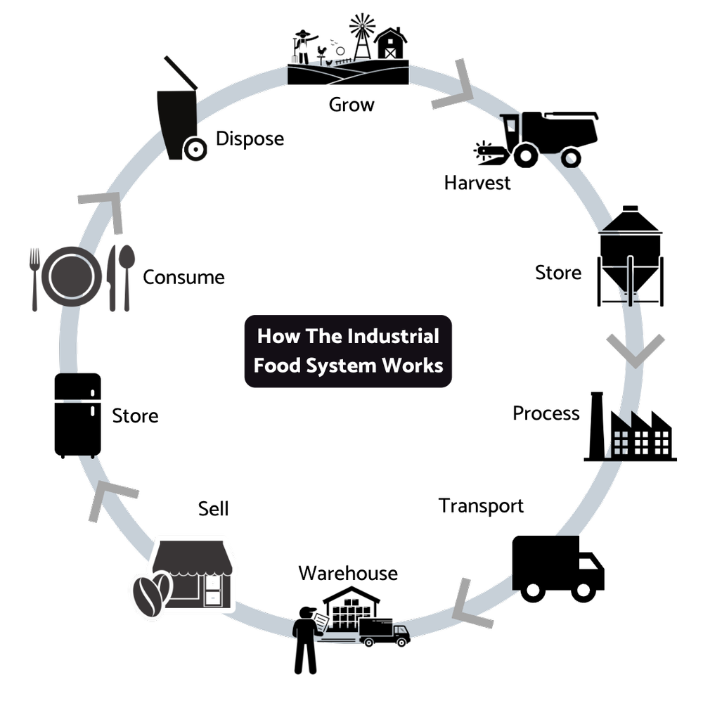 What is the Foodways System? — KC Foodways™