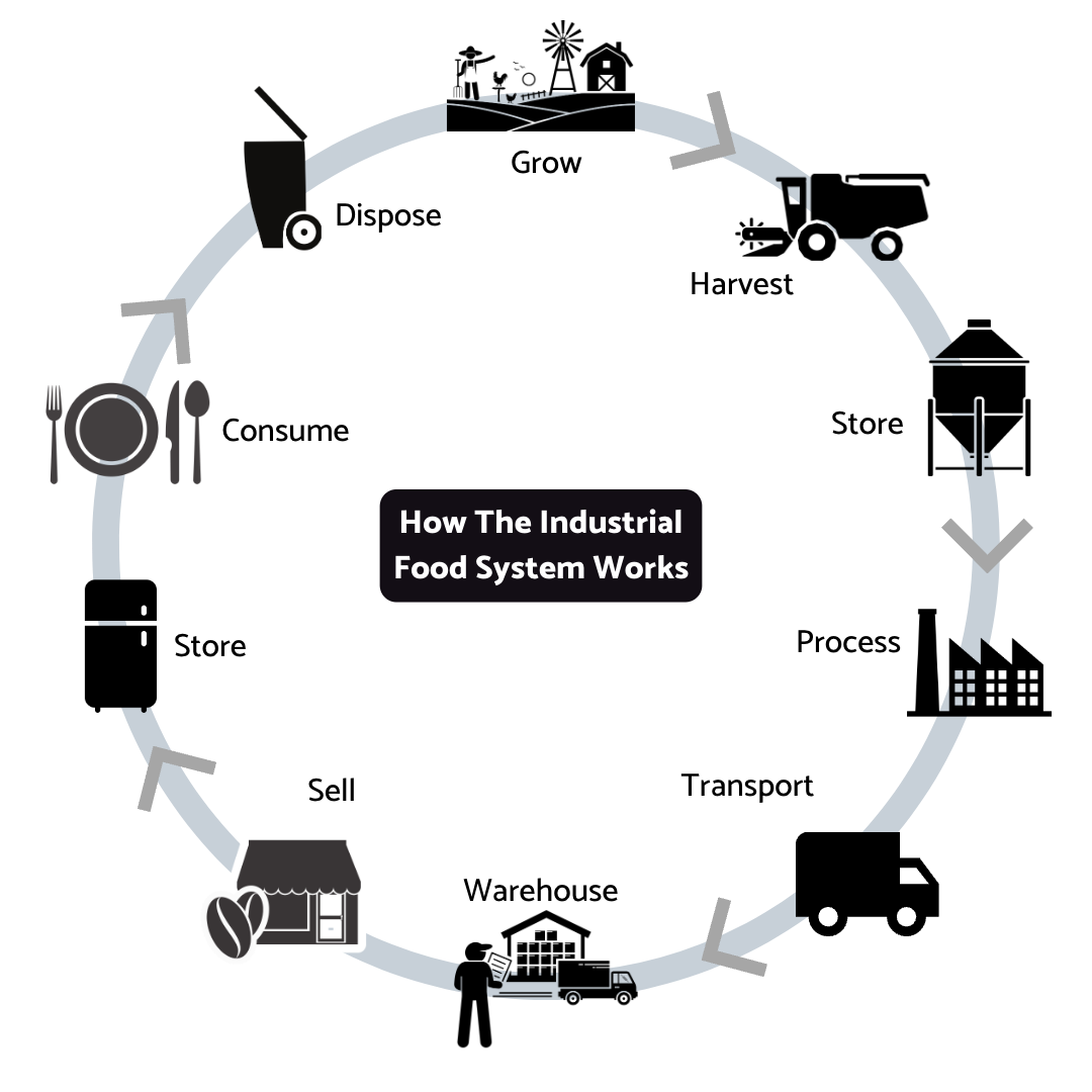 What is the Foodways System? — KC Foodways™