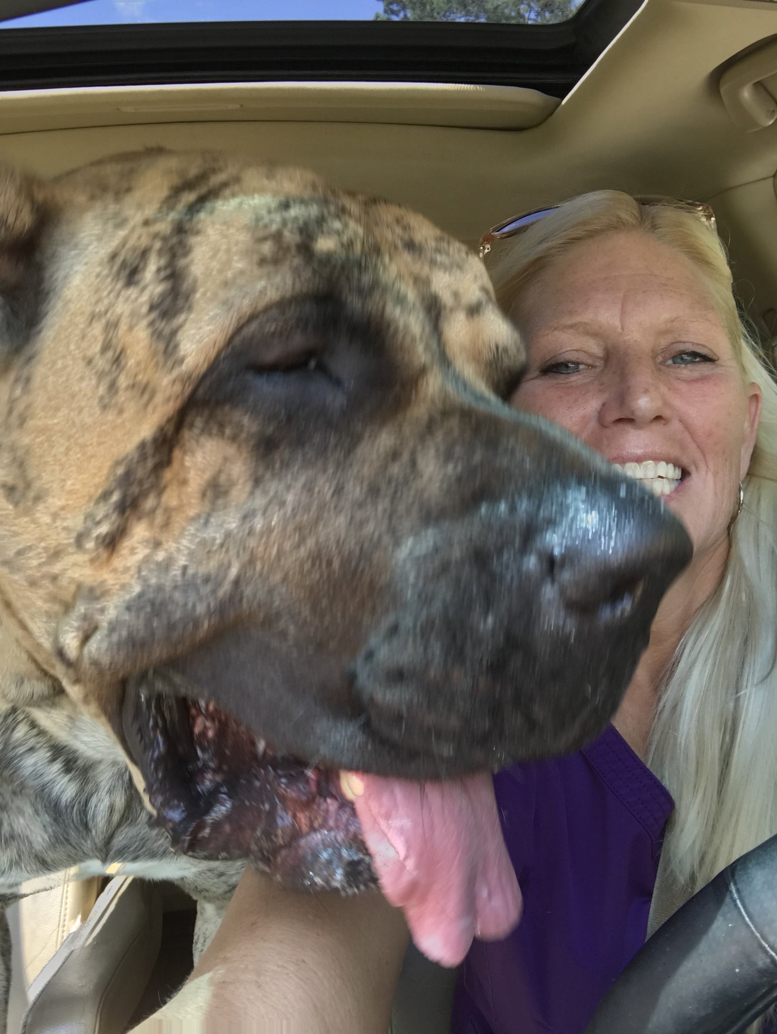 Staff Unleashed - Animal Hospital - Wilson, NC - Hicks Animal Clinic