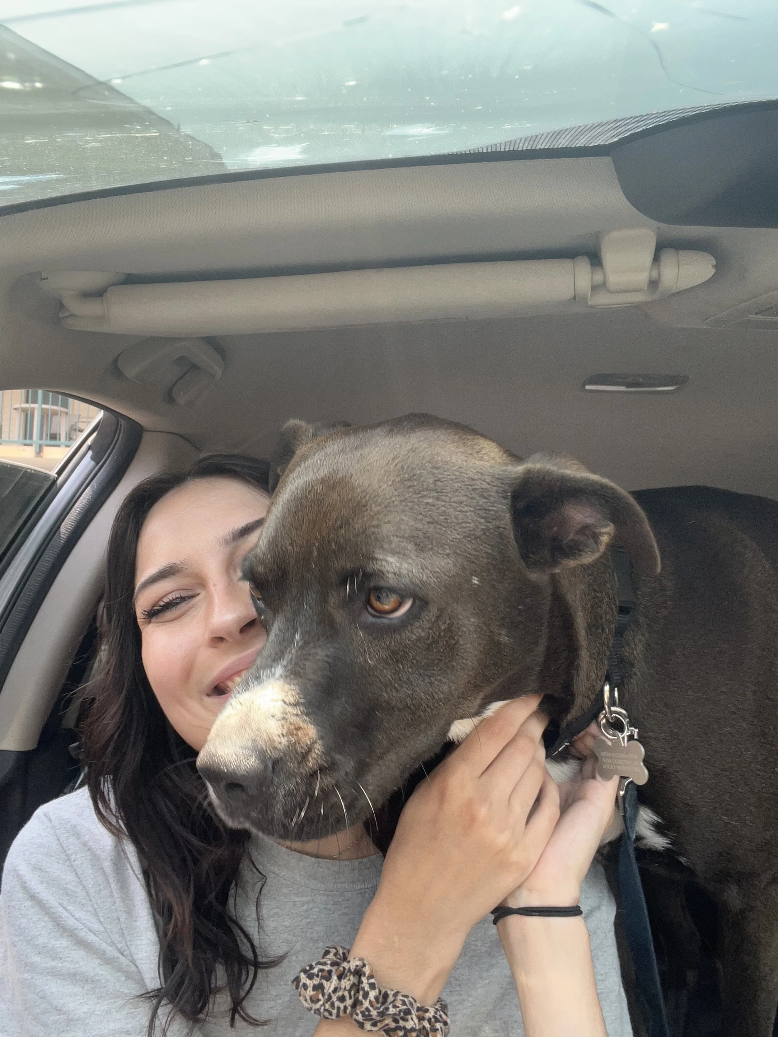 Staff Unleashed - Animal Hospital - Wilson, NC - Hicks Animal Clinic