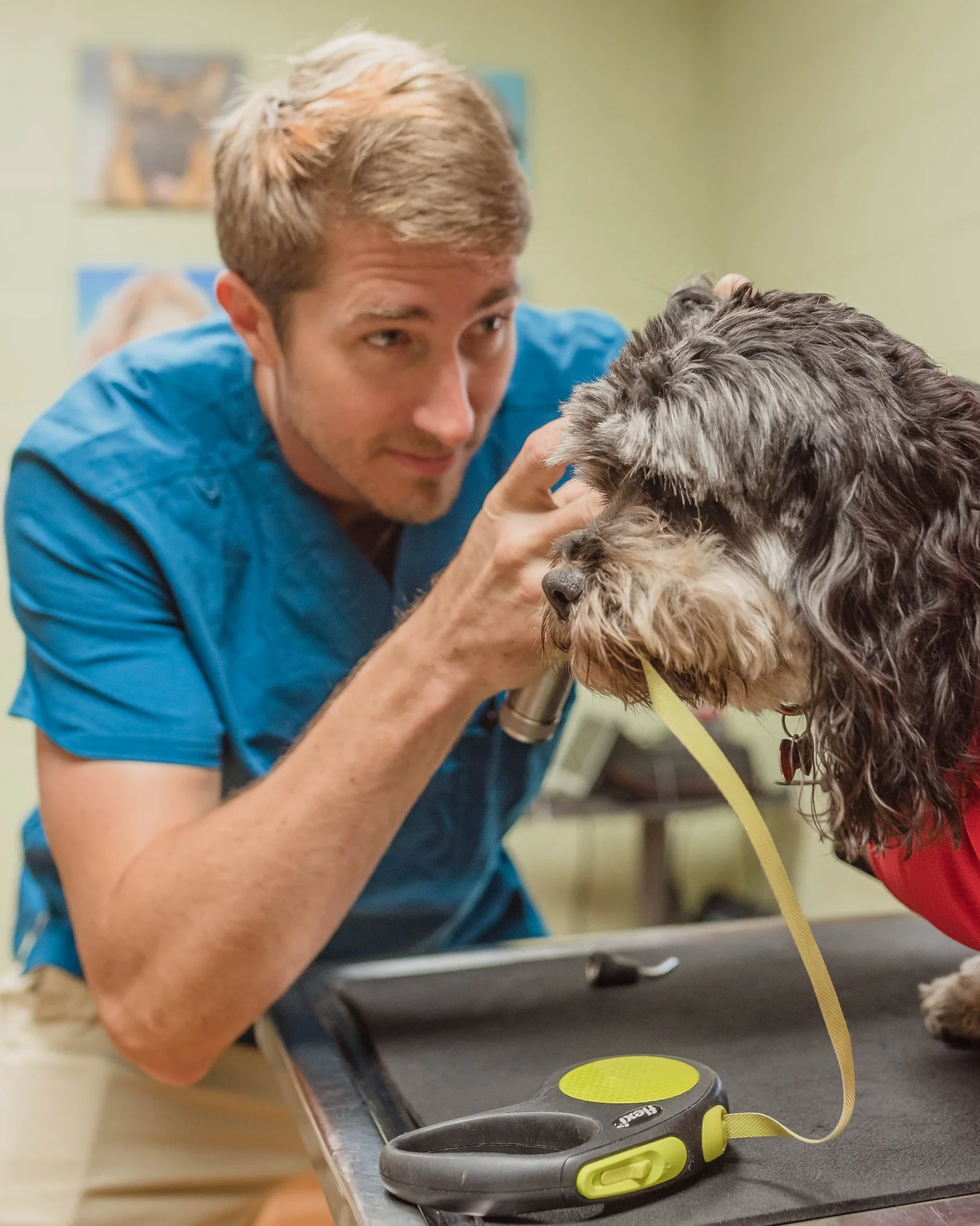 Veterinary Care Team - Animal Hospital - Hicks Animal Clinic