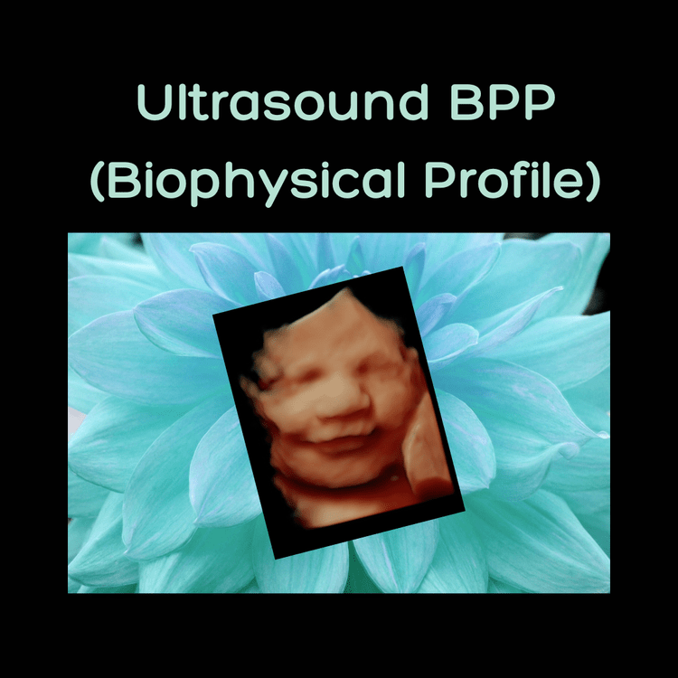 South Jersey Diagnostic Ultrasounds — Wonder Time - Established 2017